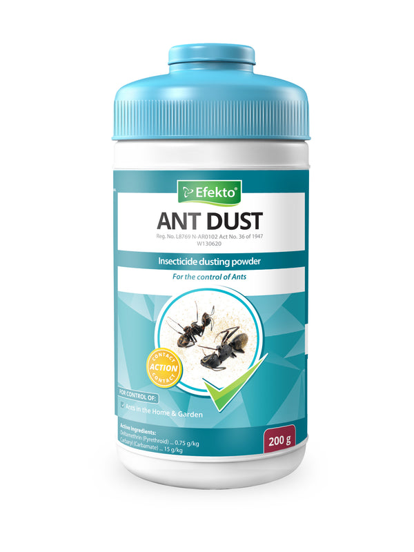 Ant Dust – Lots of Pots Boksburg
